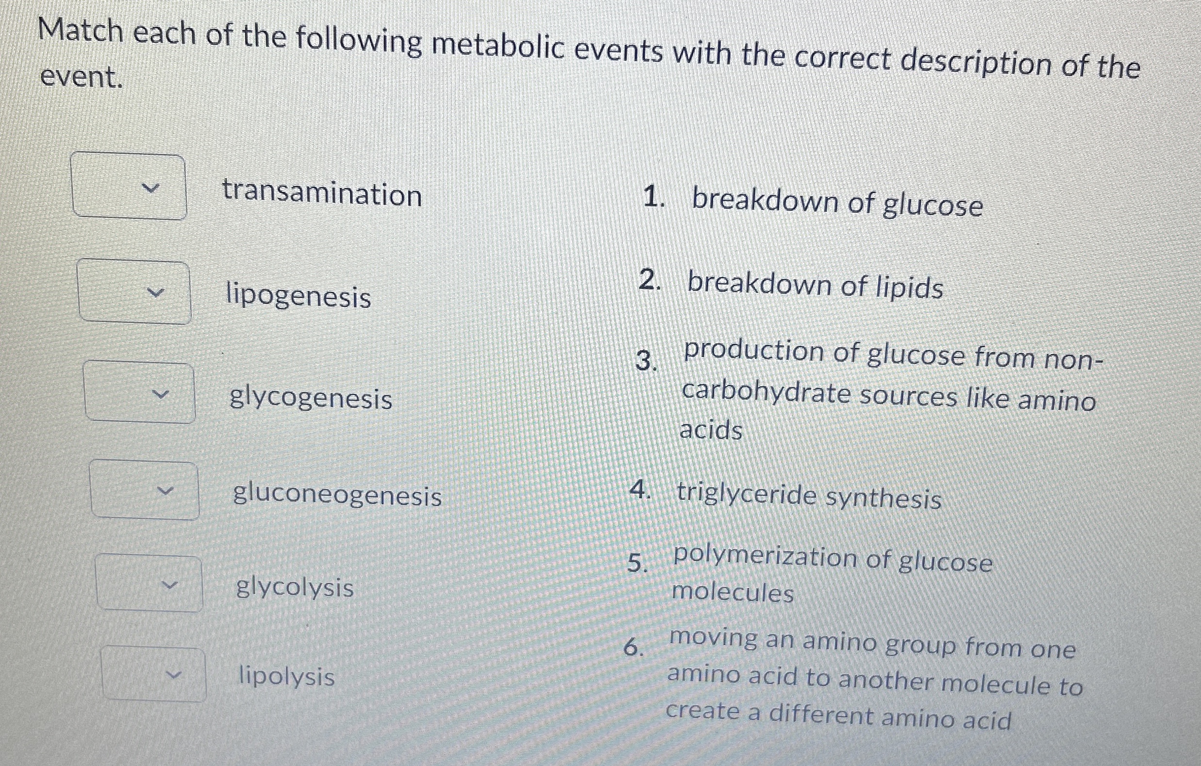Solved Match each of the following metabolic events with the | Chegg.com