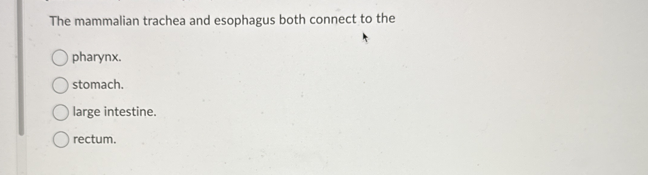Solved The mammalian trachea and esophagus both connect to | Chegg.com