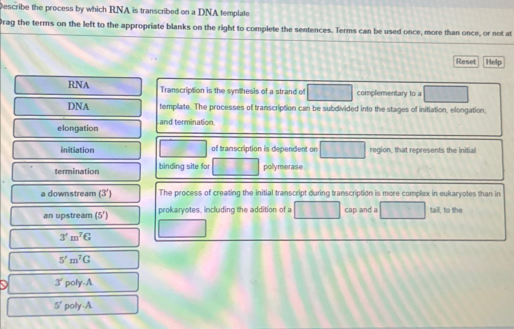 Solved Describe the process by which RNA is transcribed on a | Chegg.com