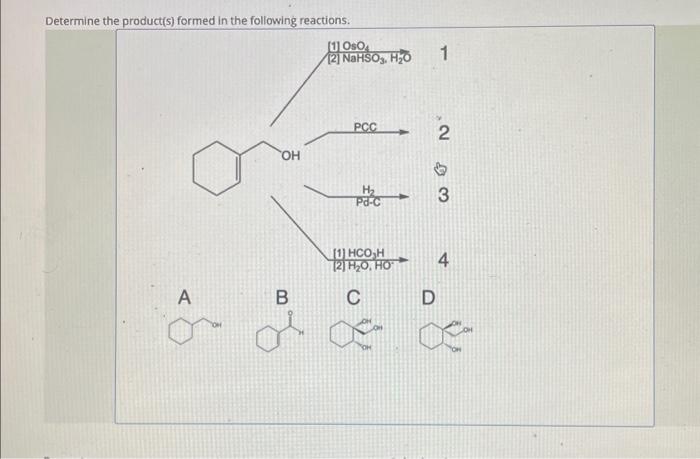 Solved Determine The Product S Formed In The Following