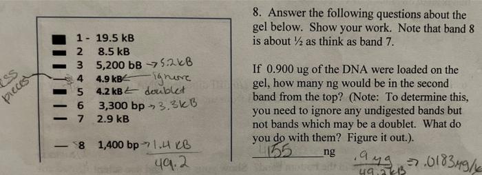 i just need help on the bottom questions of each | Chegg.com