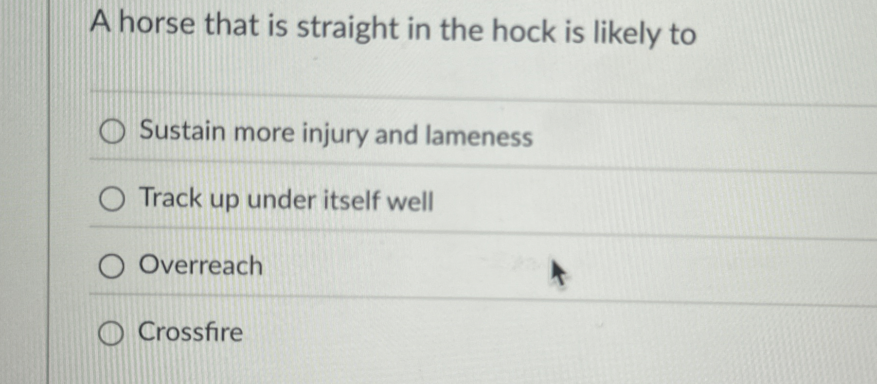 Solved A horse that is straight in the hock is likely | Chegg.com