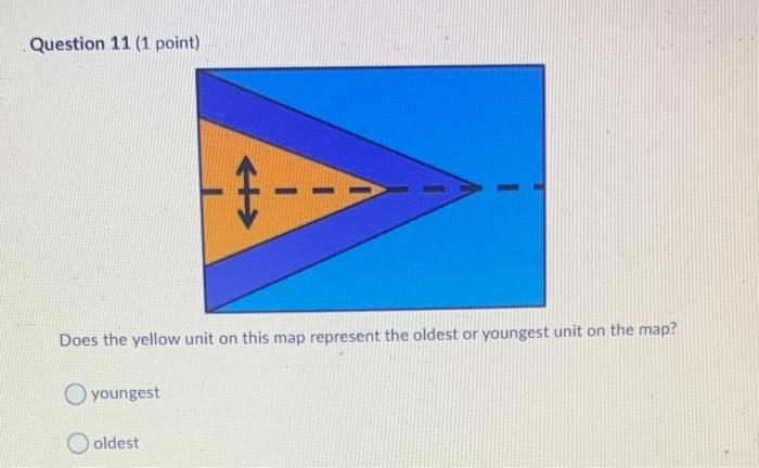Solved Question 11 (1 point) +-- Does the yellow unit on | Chegg.com