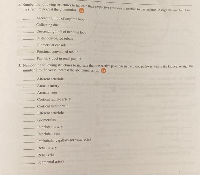 Solved 2. Number the following structures to indicate their | Chegg.com