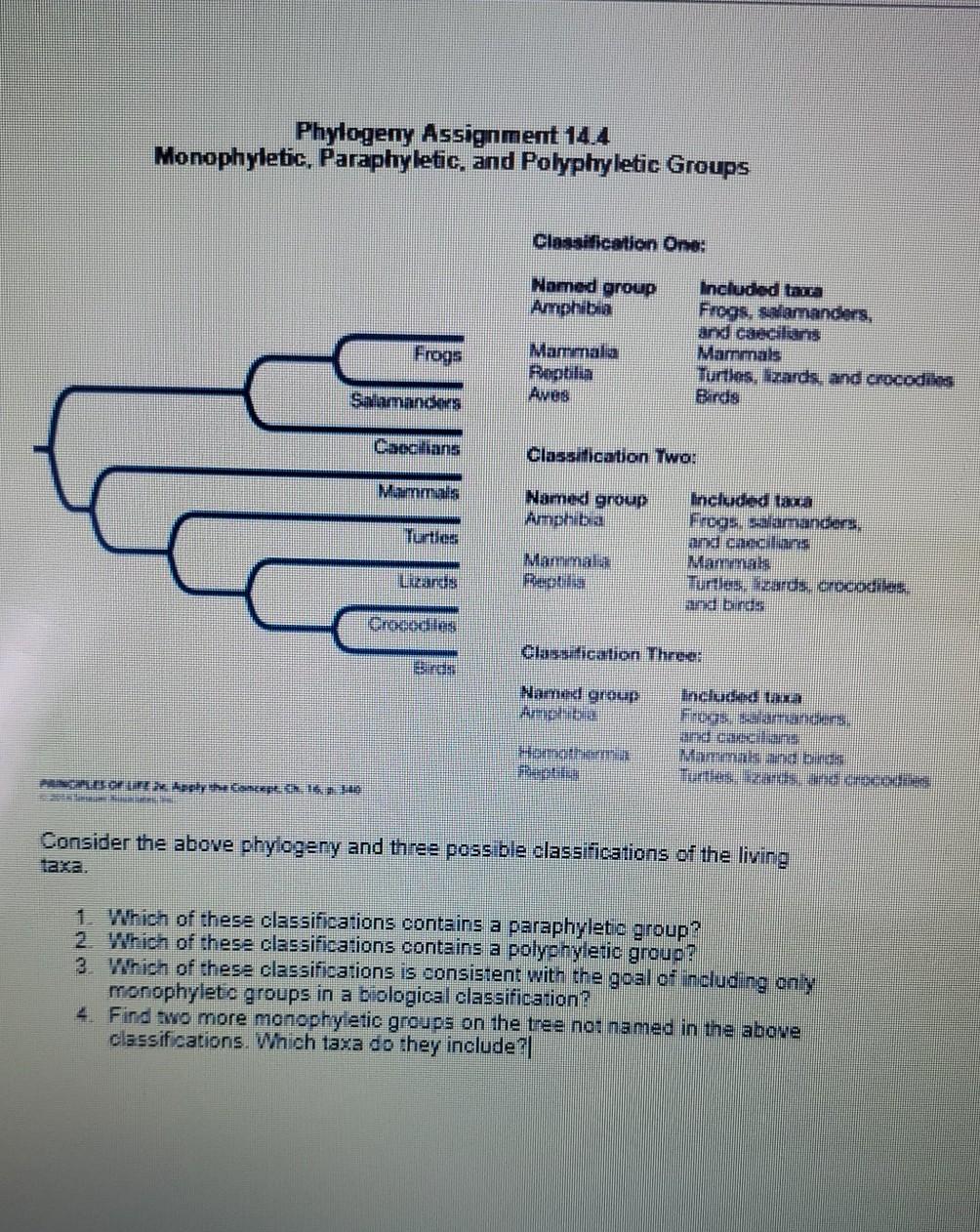 Solved Phylogeny Assignment 14.4 Monophyletic, Paraphyletic, | Chegg.com