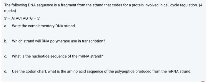Solved The following DNA sequence is a fragment from the | Chegg.com