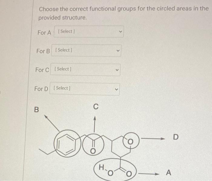 Solved Choose the correct functional groups for the circled | Chegg.com
