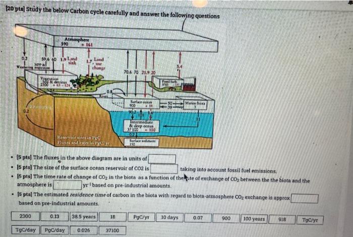Solved [20 pts] Study the below Carbon cycle carefully and | Chegg.com