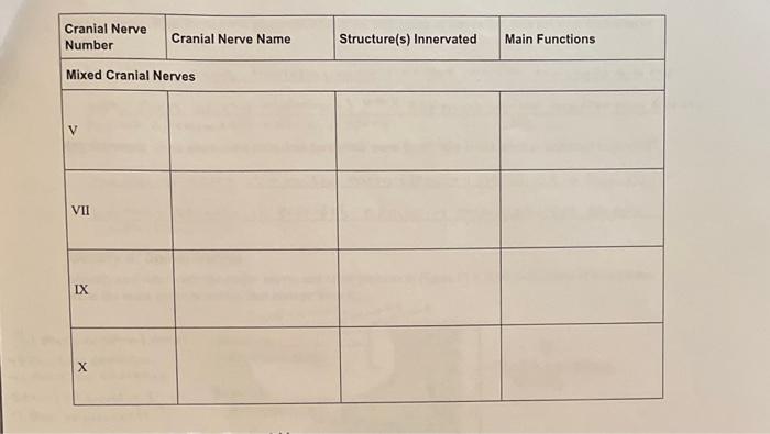 Solved Build Your Own Summary Table: The Cranial | Chegg.com
