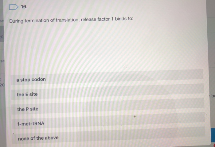 Solved D 16. se During termination of translation, release | Chegg.com