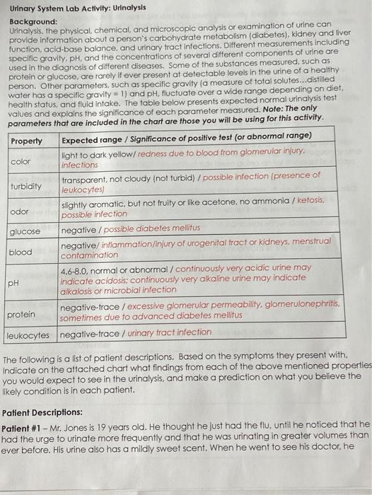 Solved color Urinary System Lab Activity: Urinalysis | Chegg.com