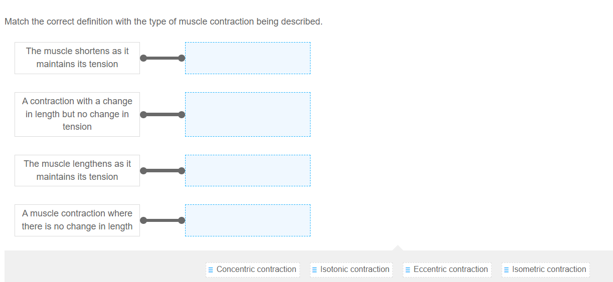 Solved Match the correct definition with the type of muscle | Chegg.com