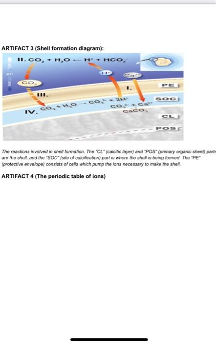 Solved CHEMISTRY UNIT 4 PERFORMANCE TASK: CORAL Use the data | Chegg.com