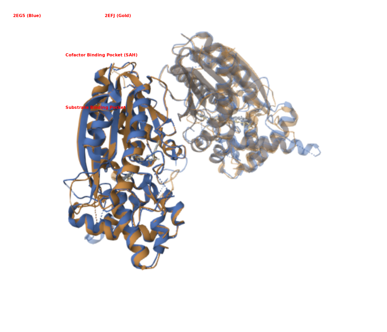 Solved Make a labeled image of the superposed structures and | Chegg.com