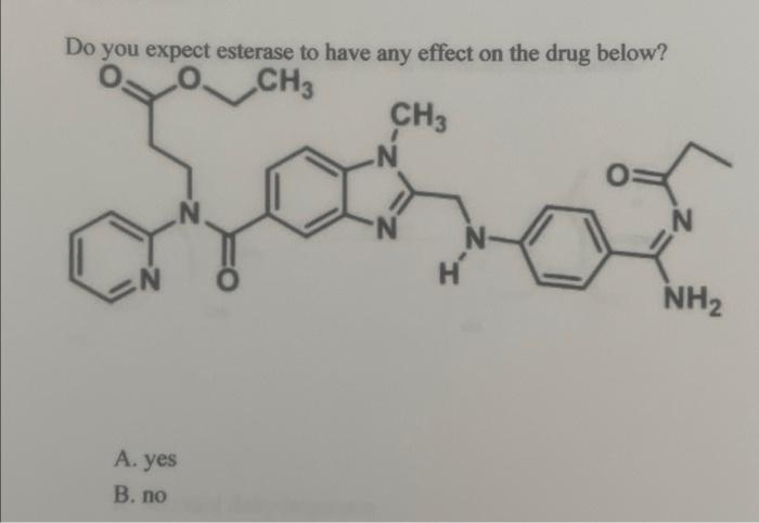 Solved Do you expect esterase to have any effect on the drug | Chegg.com