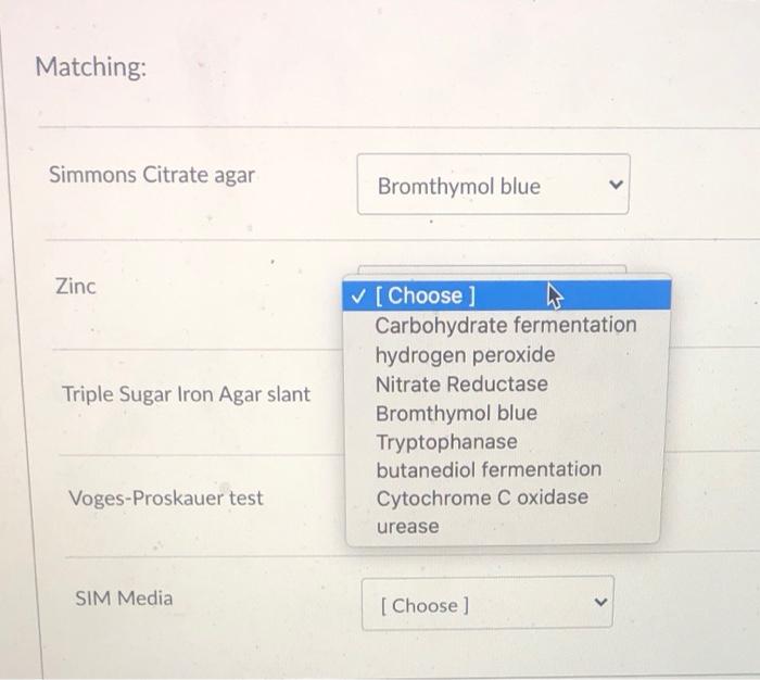 Solved Matching: Simmons Citrate agar Bromthymol blue