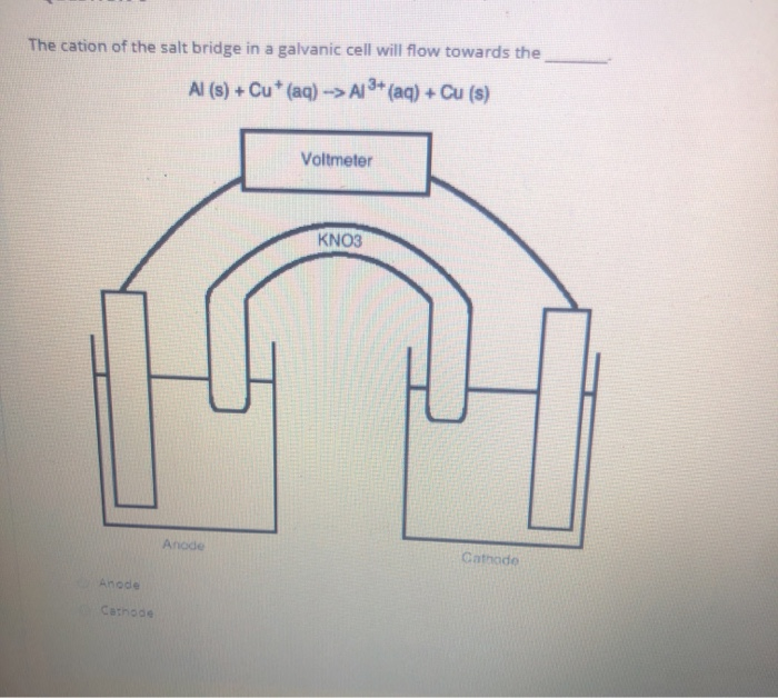 Solved The cation of the salt bridge in a galvanic cell will | Chegg.com
