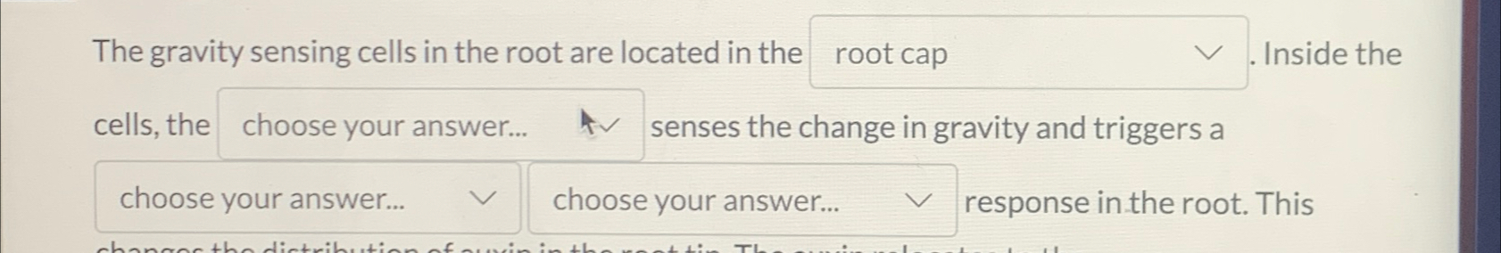 Solved The gravity sensing cells in the root are located in | Chegg.com