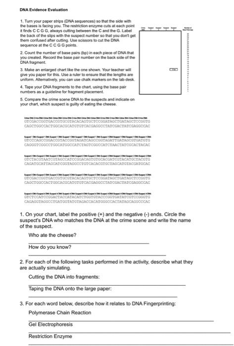 Who Ate the cheese?! objectives. In this nimulation | Chegg.com