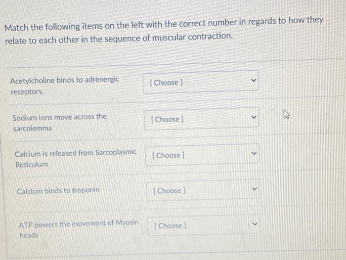 Match the following items on the left with the | Chegg.com