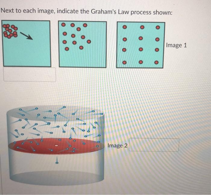 Solved Next to each image, indicate the Graham's Law process | Chegg.com