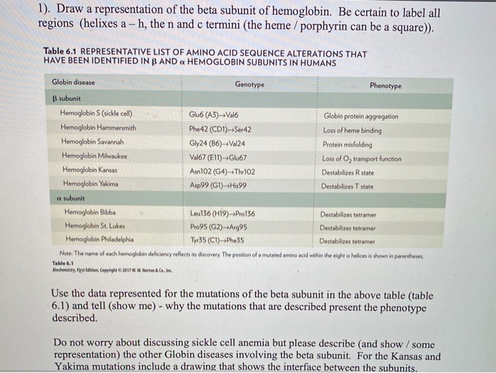 Solved Draw a representstion of the beta subunit of | Chegg.com