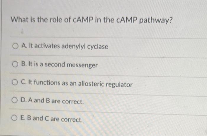 Solved What is the role of CAMP in the cAMP pathway? O A. It | Chegg.com