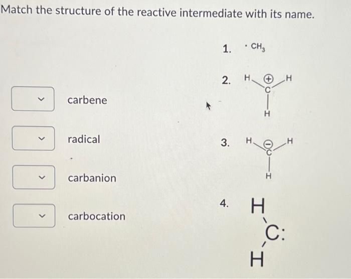 Solved Match the structure of the reactive intermediate with | Chegg.com