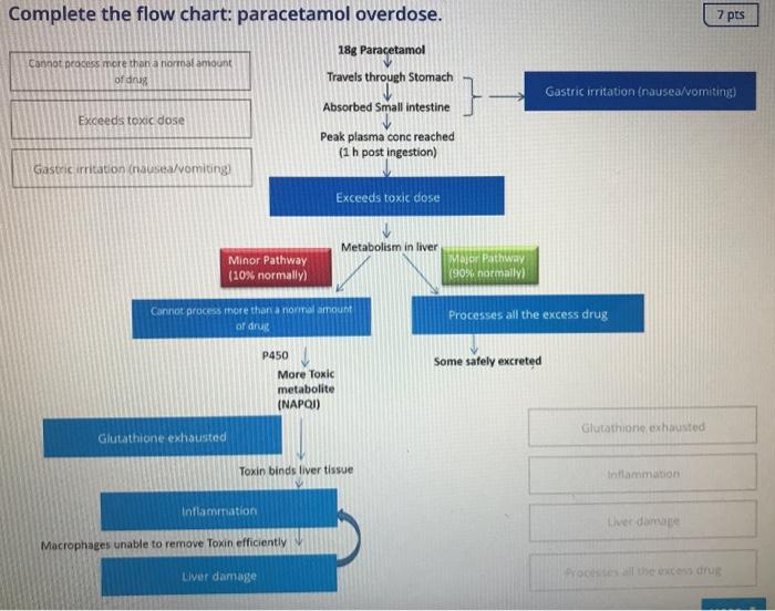 Solved Complete the flow chart: paracetamol overdose. 7 pts | Chegg.com