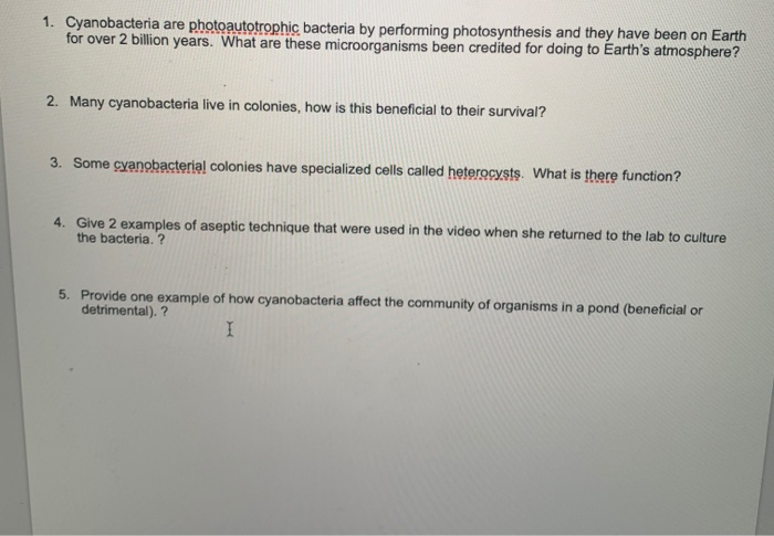 Solved 1. Cyanobacteria are photoautotrophic bacteria by | Chegg.com