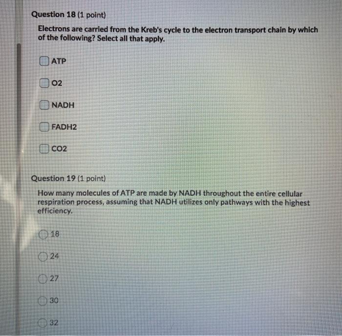 Solved Question 18 (1 point) Electrons are carried from the | Chegg.com