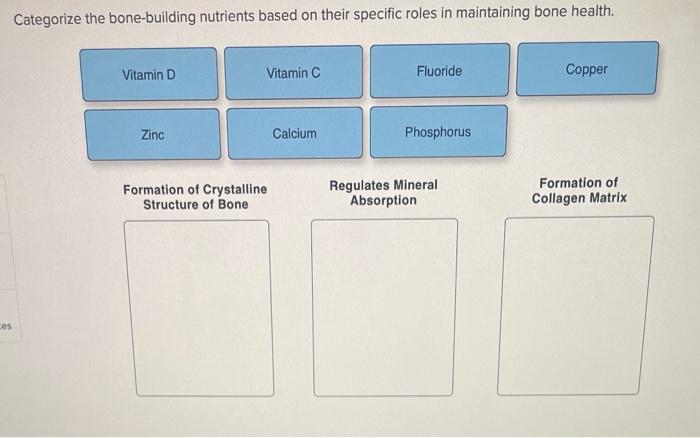 Solved Categorize the bone-building nutrients based on their | Chegg.com