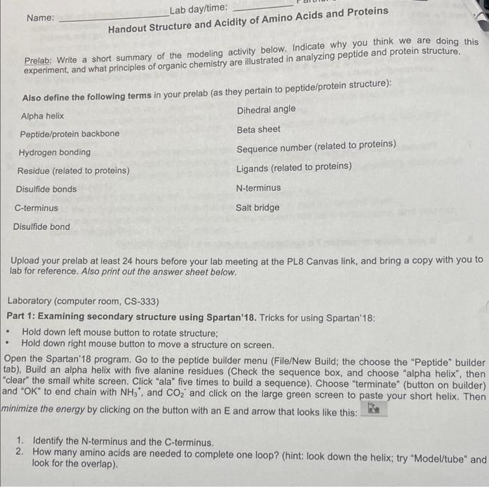 Prelab: Write a short summary of the modeling | Chegg.com