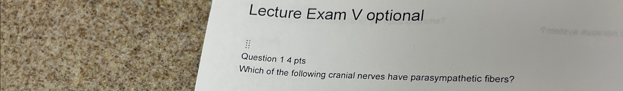 Solved Lecture Exam V optionalQuestion 14 ptsWhich of the | Chegg.com Solved Lecture Exam V optionalQuestion 14 ptsWhich of the | Chegg.com