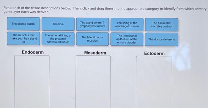 Solved Read Each Of The Tissue Descriptions Below Then