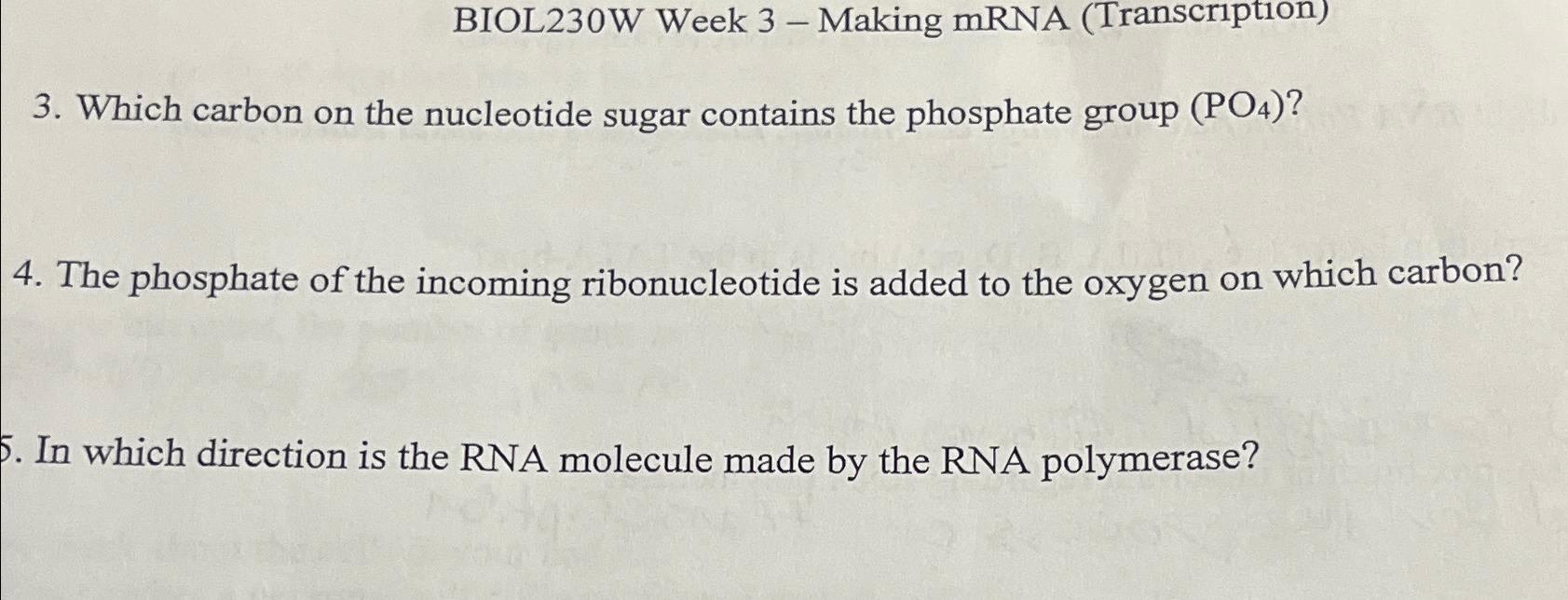 Solved BIOL230W Week 3 - ﻿Making mRNA (Transcription)3. | Chegg.com