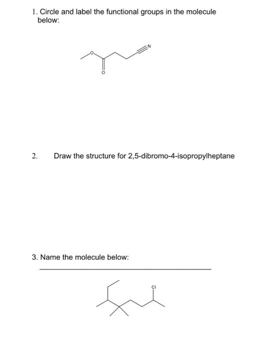 Solved 1. Circle and label the functional groups in the | Chegg.com