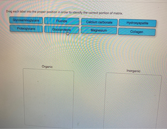 Solved Drag each label into the proper position in order to | Chegg.com
