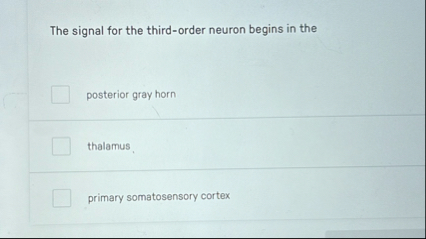 Solved The signal for the third-order neuron begins in | Chegg.com