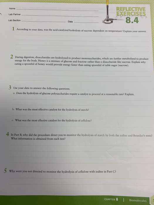 Solved REFLECTIVE EXERCISES 8.4 Name Lab Partner Lab Section | Chegg.com
