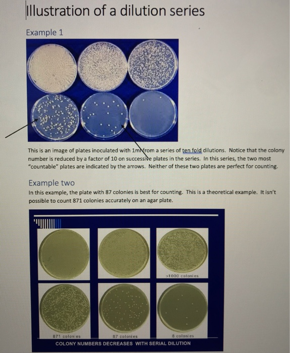 Solved Illustration of a dilution series Example 1 This is | Chegg.com