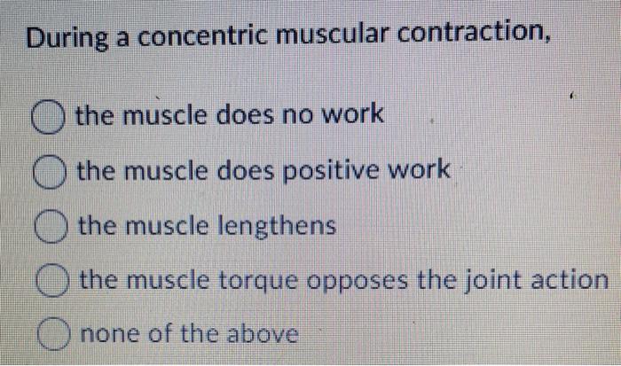 Solved During a concentric muscular contraction, the muscle | Chegg.com