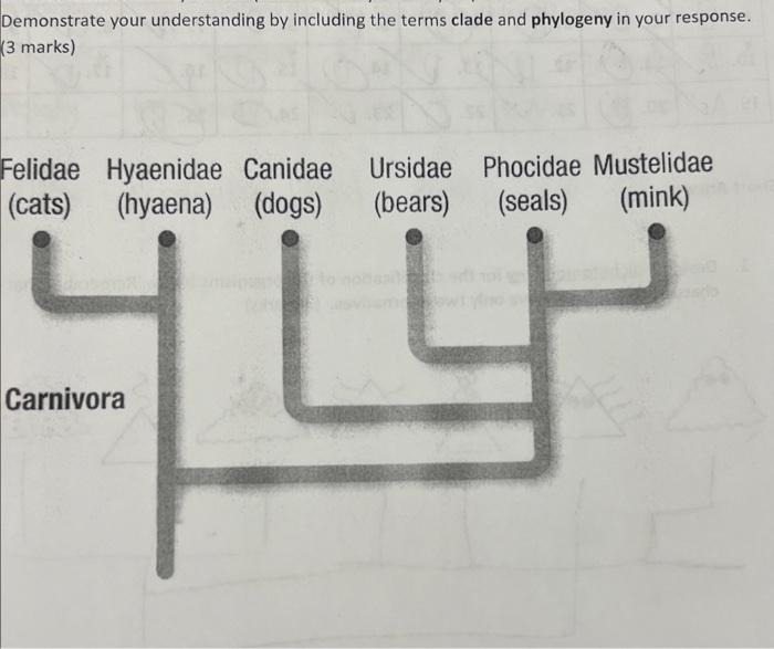 Solved Demonstrate your understanding by including the terms | Chegg.com