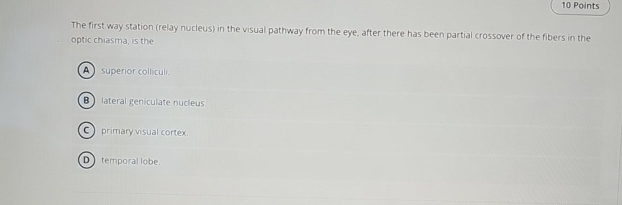 Solved The first way station (relay nucleus) ﻿in the visual | Chegg.com