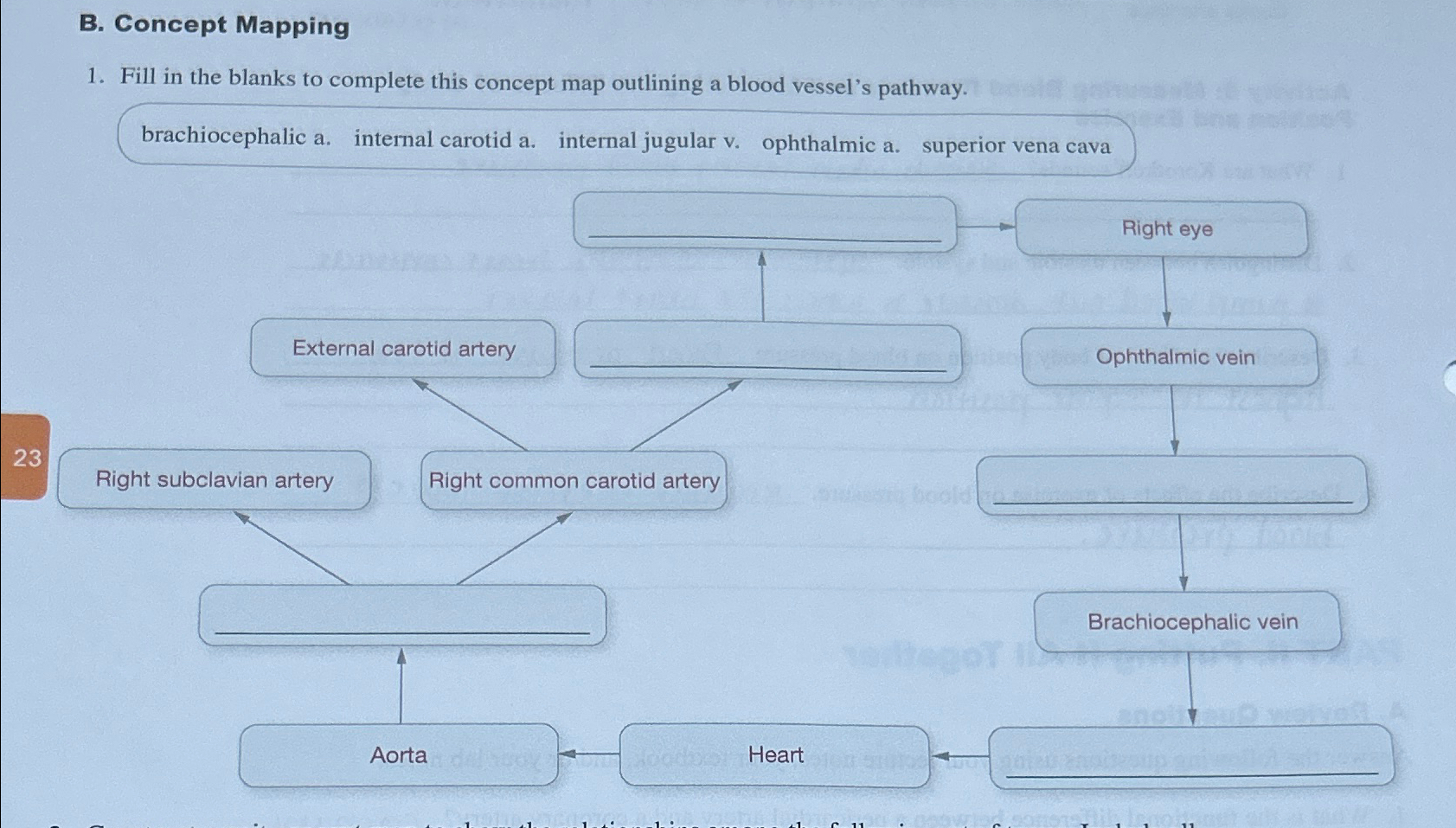 Solved B. ﻿Concept MappingFill in the blanks to complete | Chegg.com