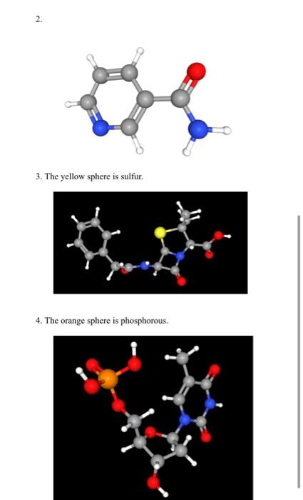 Solved Molecules are sometimes represented as "ball and | Chegg.com
