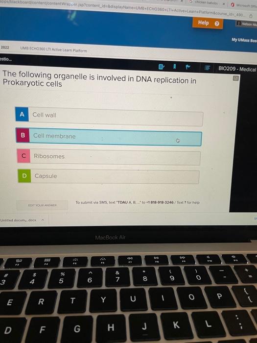 Solved The following organelle is involved in DNA | Chegg.com