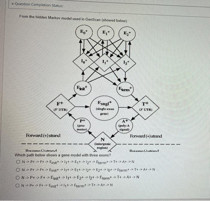 Solved From the hidden Markov model used in N→P+→F+→Einit | Chegg.com