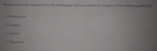 Solved Neural crest cells migrate from the developing | Chegg.com