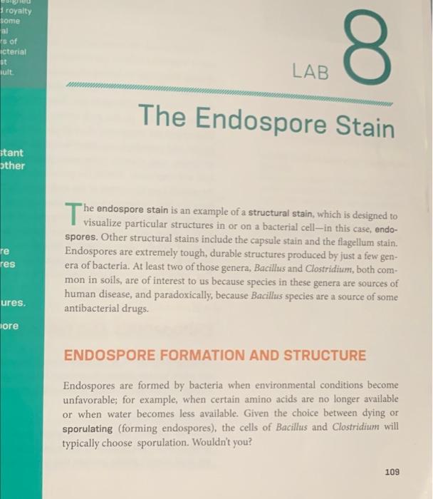 Solved he endospore stain is an example of a structural | Chegg.com